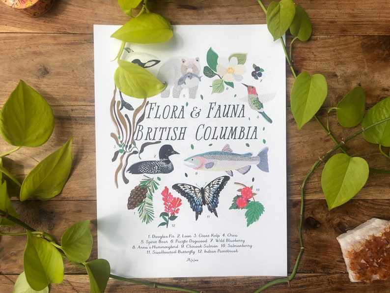 Flora and Fauna of British Columbia Art Print Illustration Nature Print ...