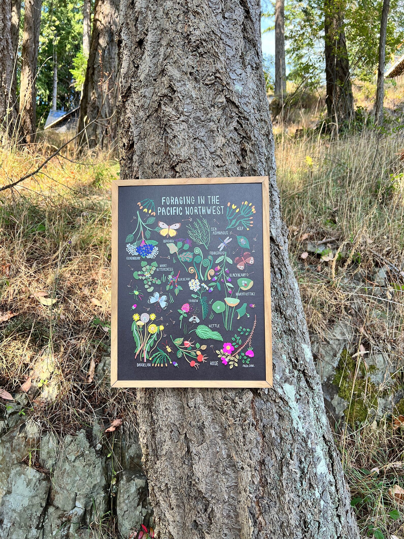 Foraging Plants of the Pacific Northwest Wall Art Forage Wild Plants ...