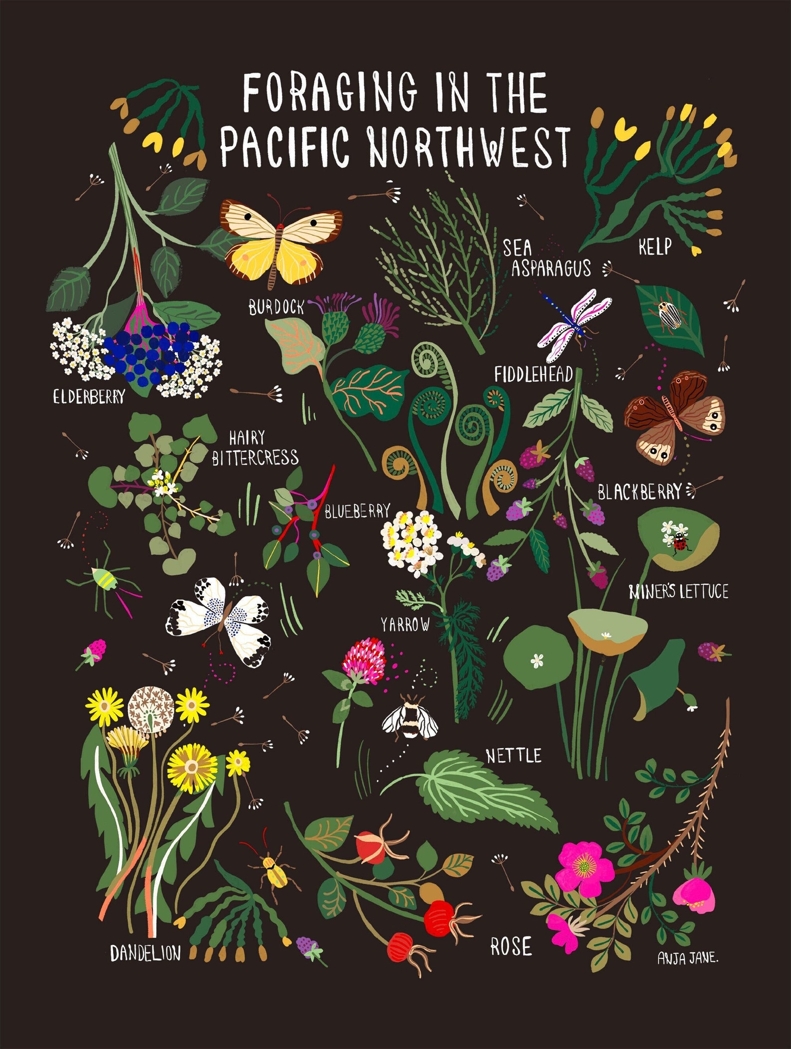 Foraging Plants of the Pacific Northwest Wall Art Forage Wild Plants ...