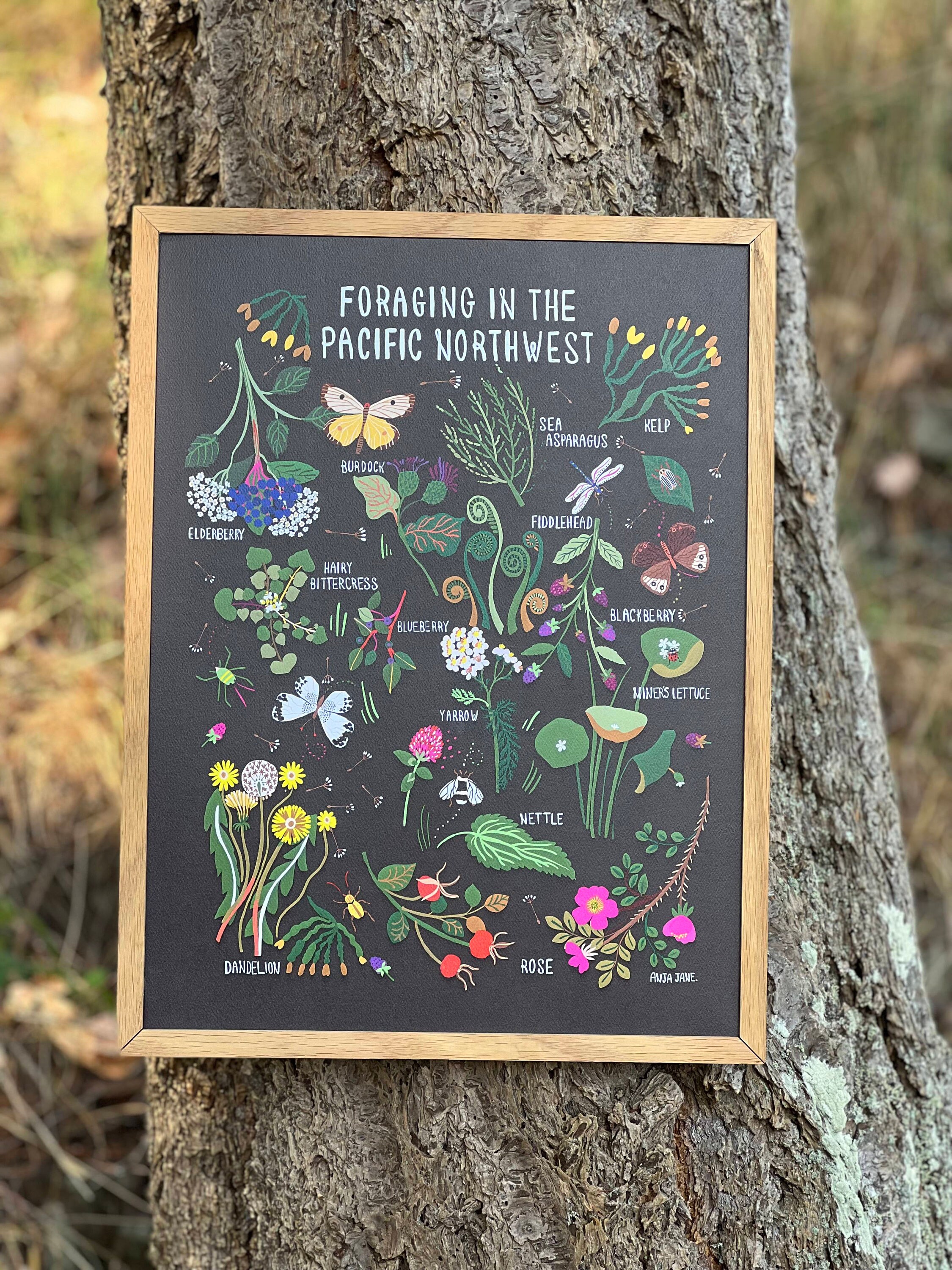 Foraging Plants of the Pacific Northwest Wall Art Forage Wild Plants ...