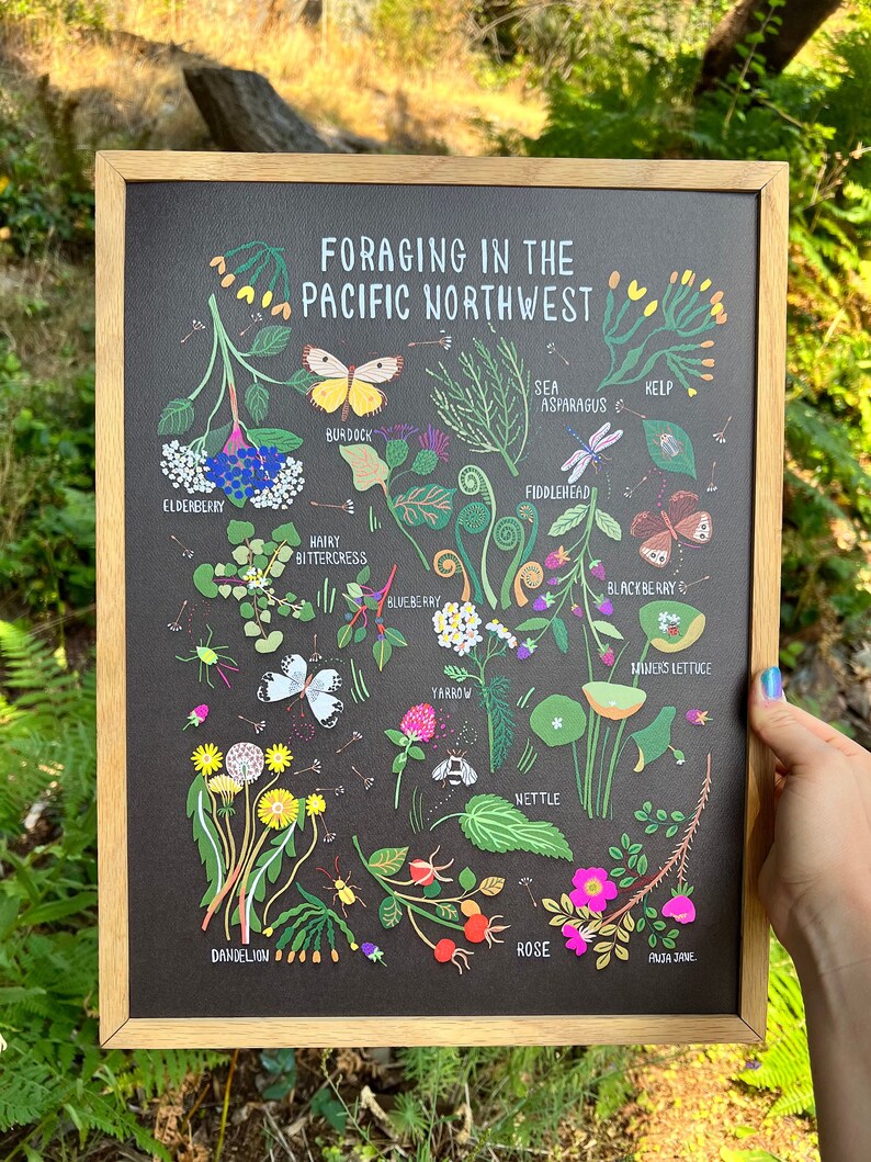 Foraging Plants of the Pacific Northwest Wall Art Forage Wild Plants ...