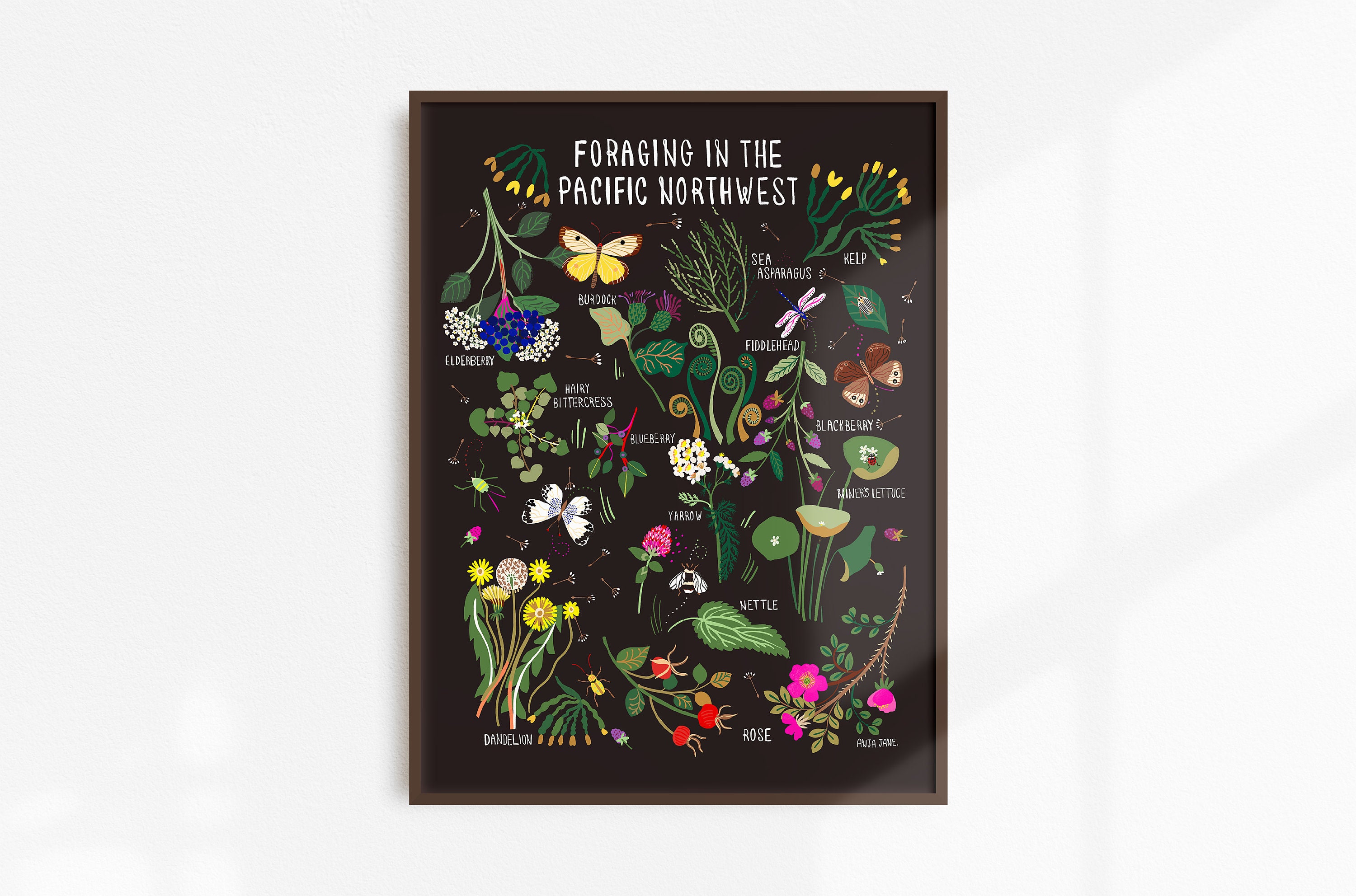 Foraging Plants of the Pacific Northwest Wall Art Forage Wild Plants ...