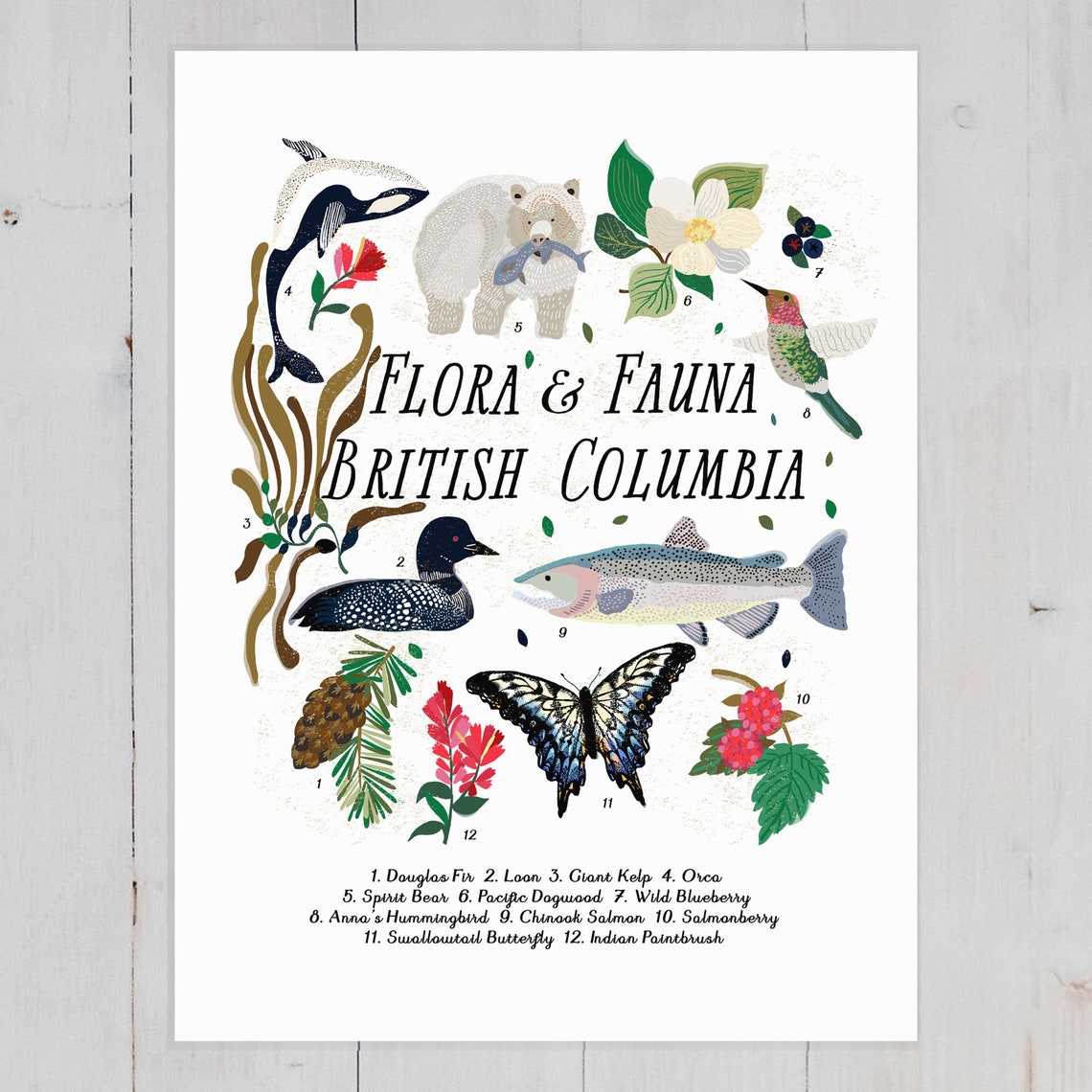 Flora and Fauna of British Columbia Art Print Illustration Nature Print ...