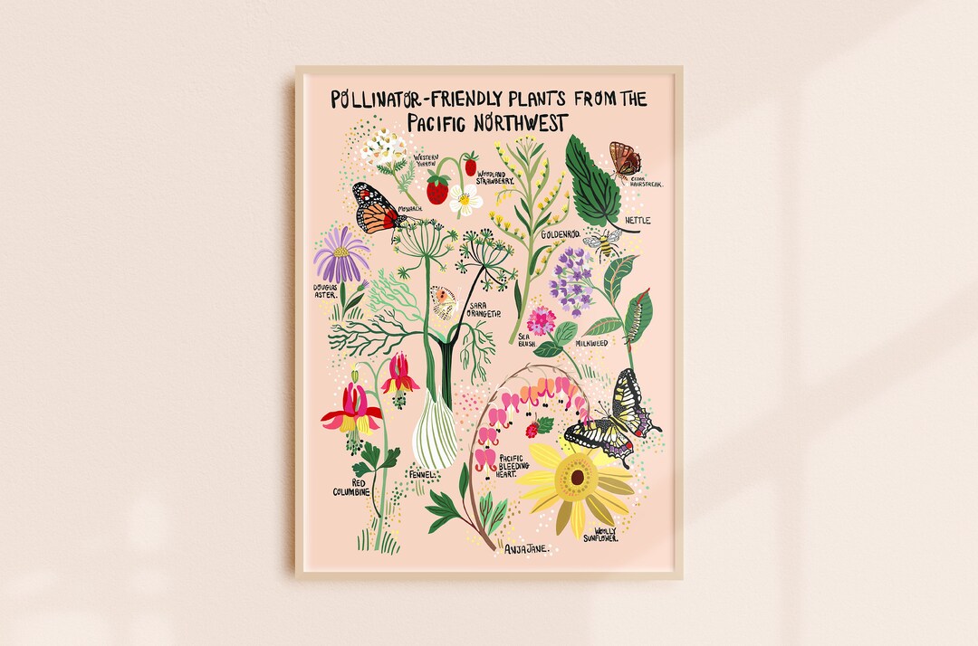 Pollinators Art Print | Pacific Northwest | Floral | Butterfly | Bees ...