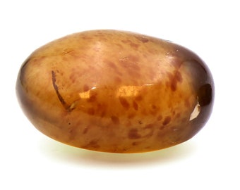 Tumbled Amber Stone - Etsy