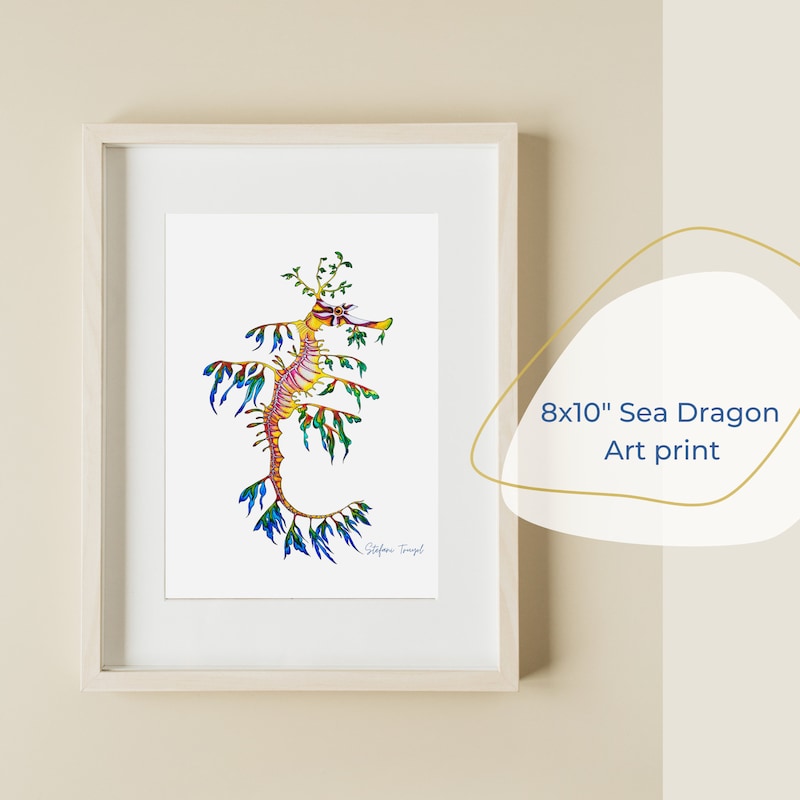 Leafy Sea Dragon - Etsy