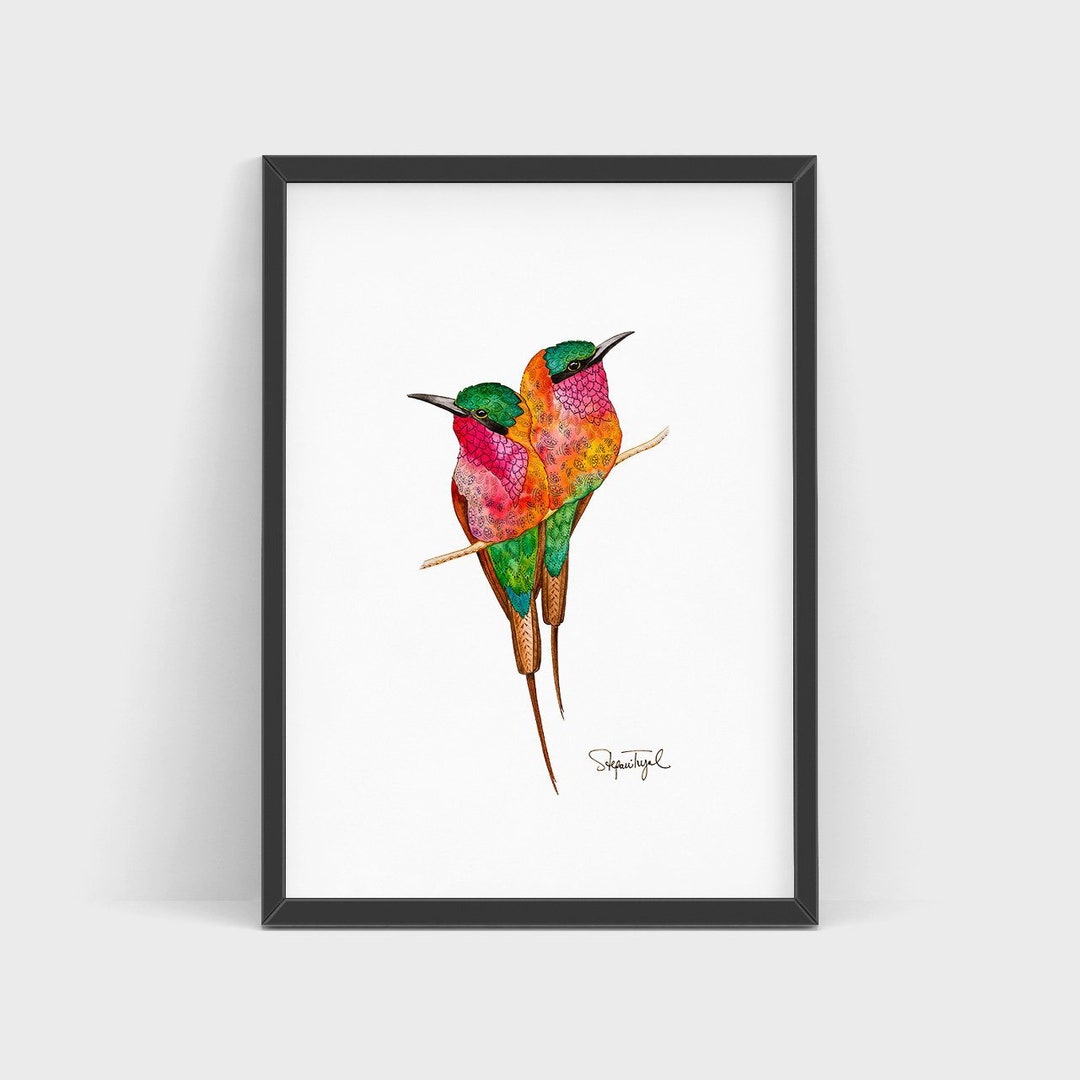 Watercolor African Bird Art Print, Illustration Gift for Bird Lovers ...