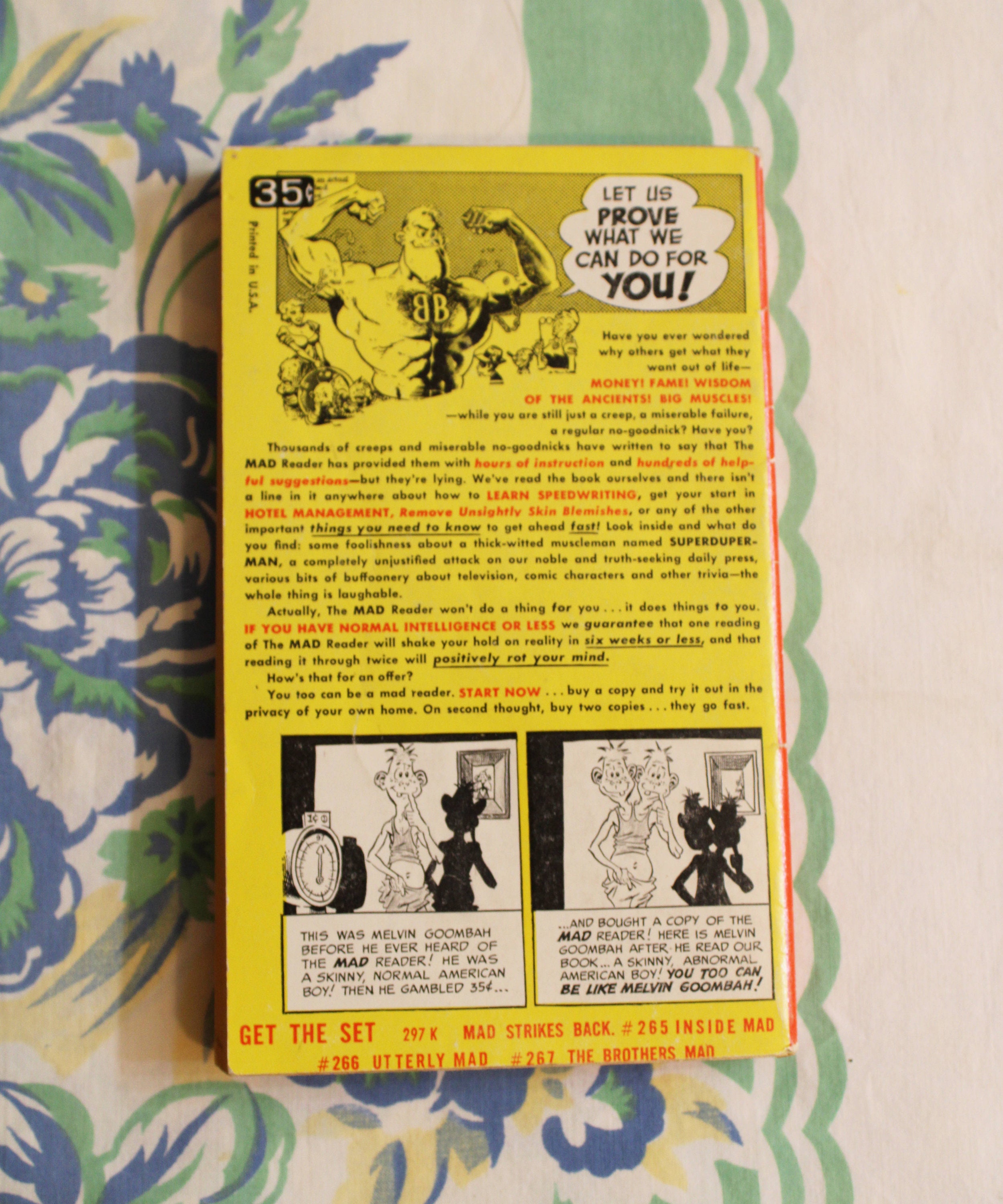 The Mad Reader 1958 Ballentine Book - Etsy