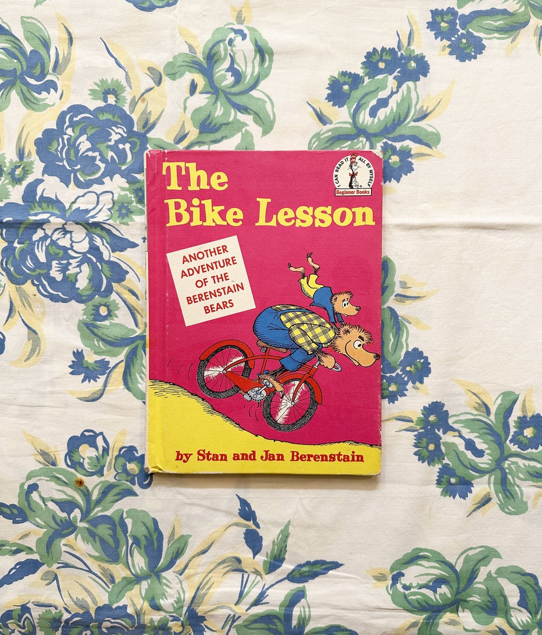 The Bike Lesson, 1964 Berenstain Bears Book - Etsy