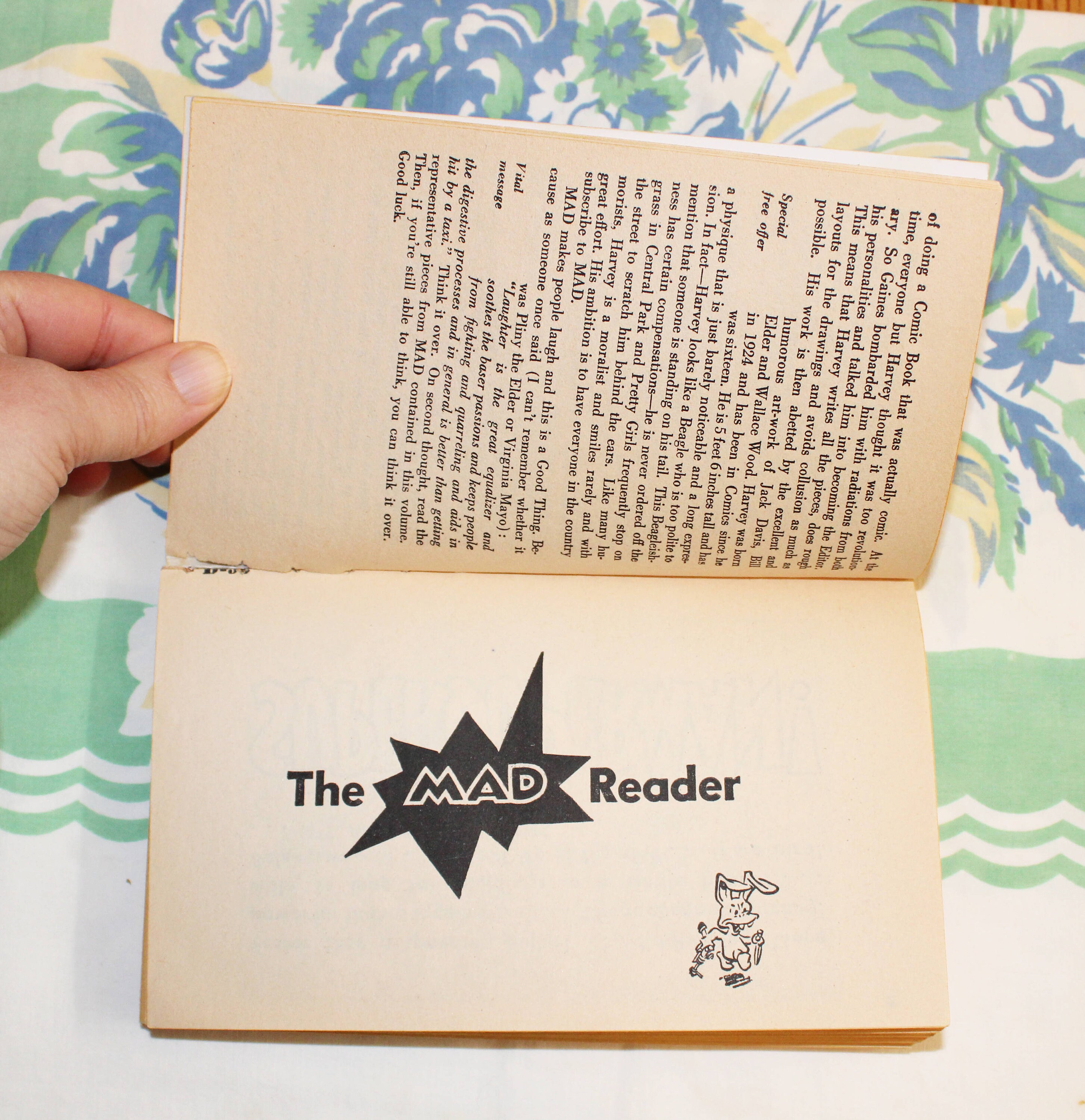 The Mad Reader 1958 Ballentine Book - Etsy