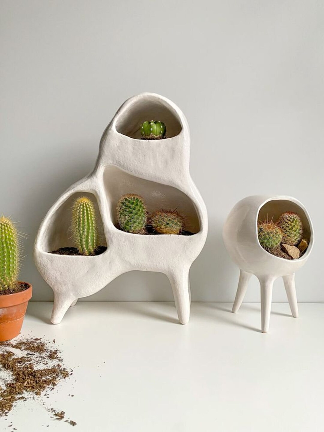 Modern Cactus Planters in White Ceramic - Etsy