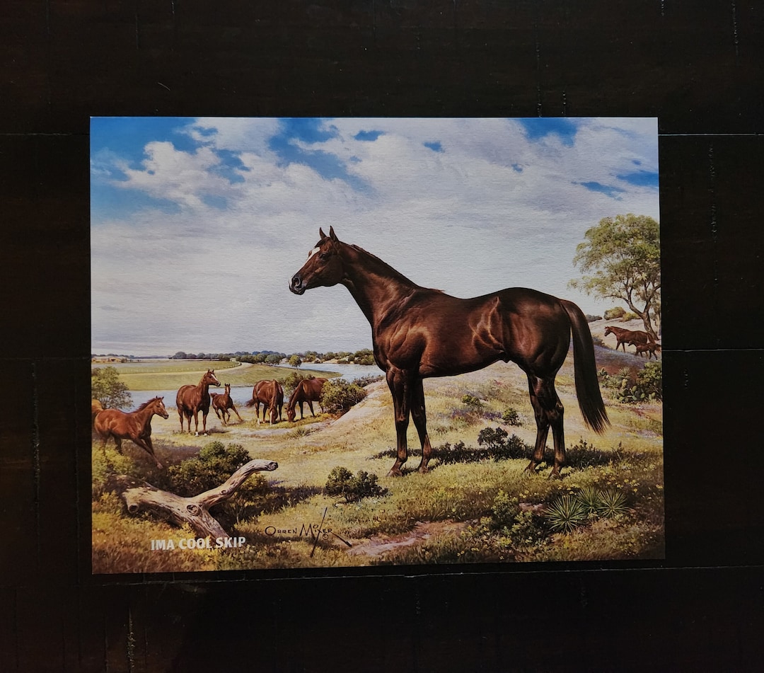 Orren Mixer Horse Prints Several Styles Available Equestrian Art Prints ...