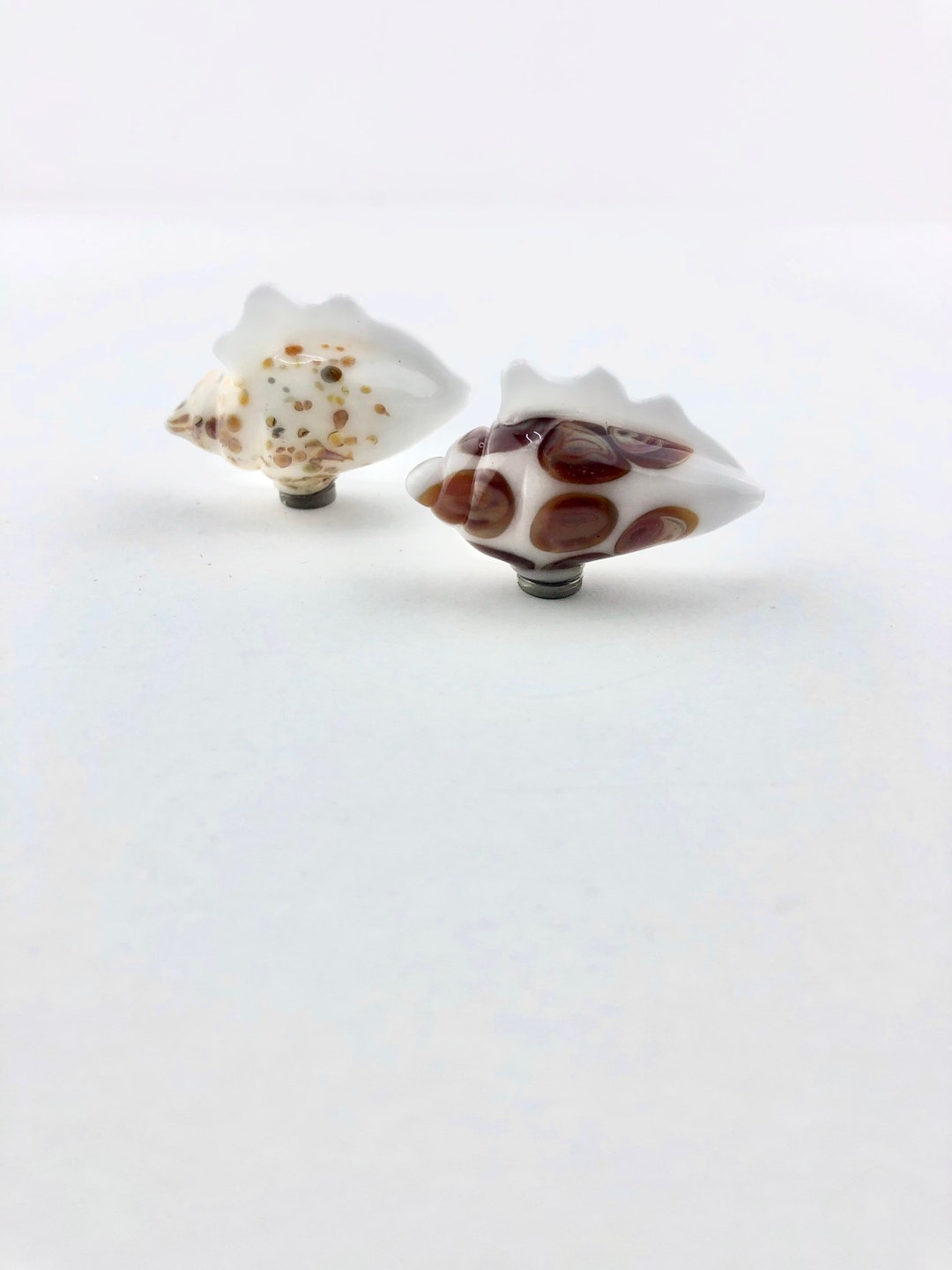 Shell Magnet Glass Shell Seashell Glass Seashell Seashell Magnet Magnet ...