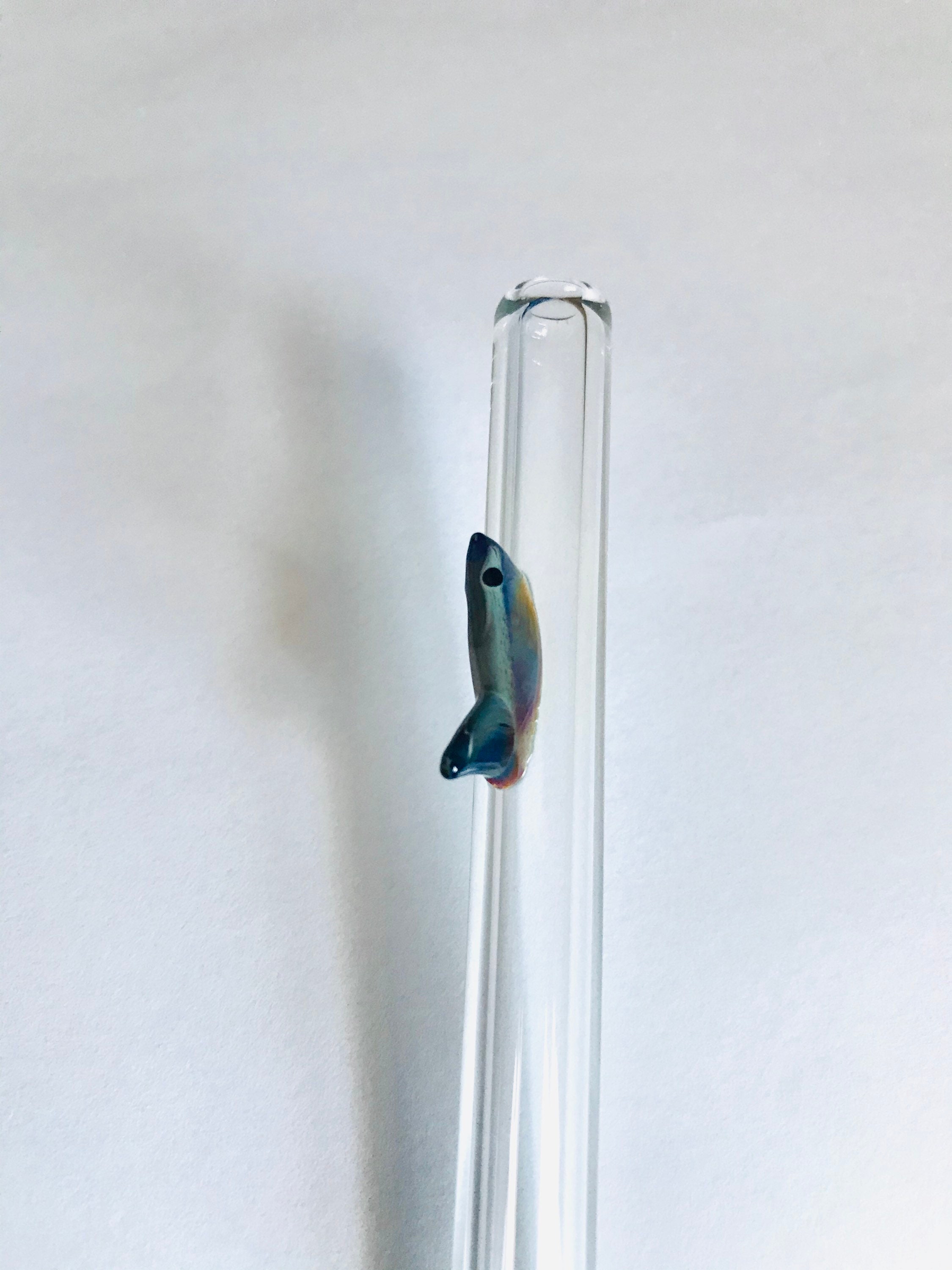 Shark GLASS STRAWS - Reusable Straws | Glass Straw | Eco Friendly Straw ...