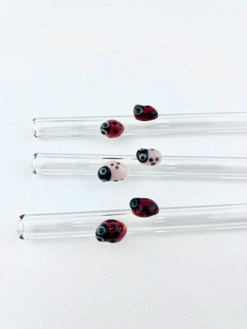 Double Ladybug GLASS STRAW Reusable Straws Eco Friendly | Etsy