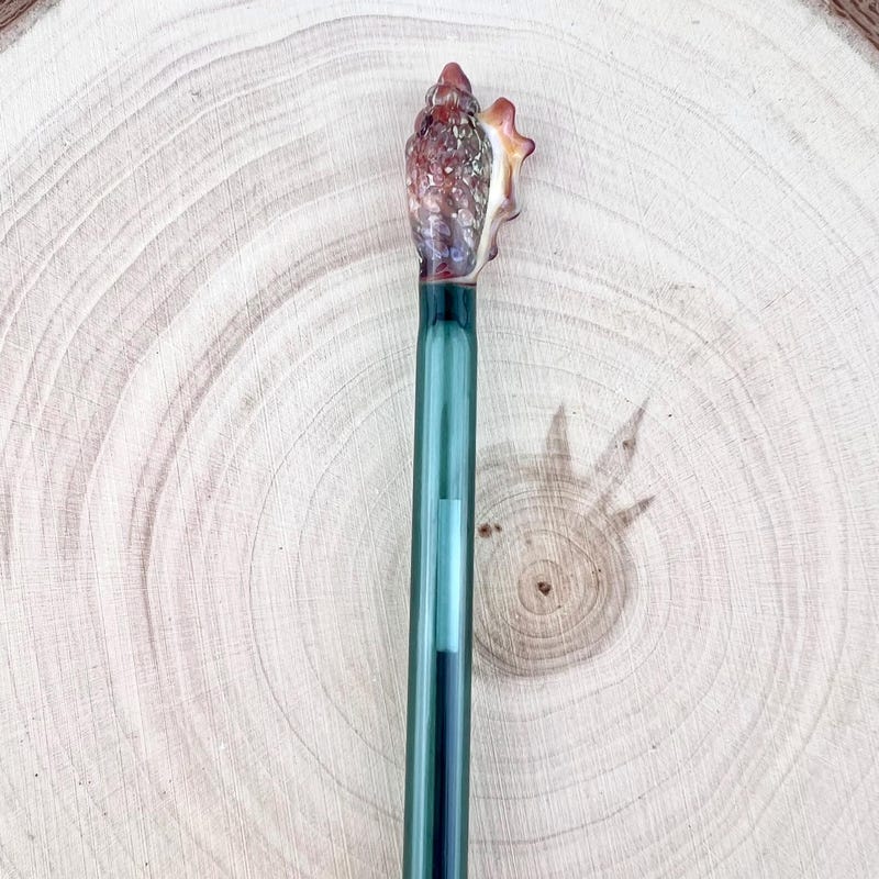 Pen Shell - Etsy