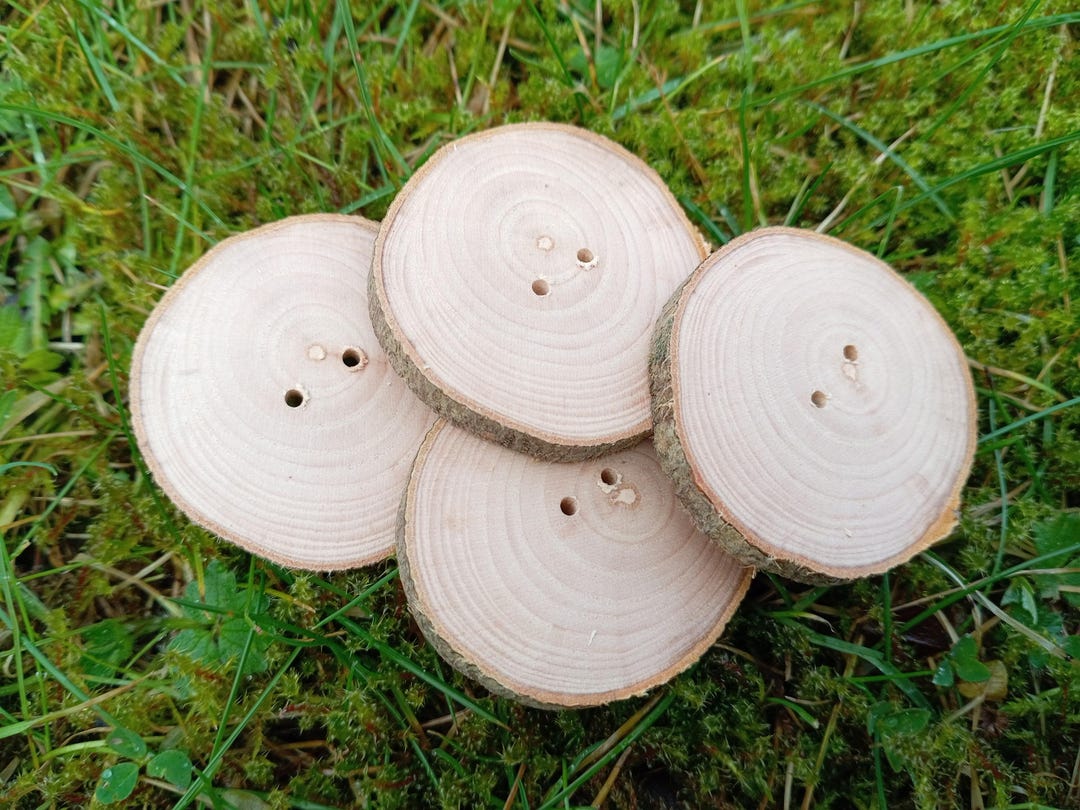Buttons, 1 Beech Button, Big Buttons, Handmade From Tree Branch Slices ...