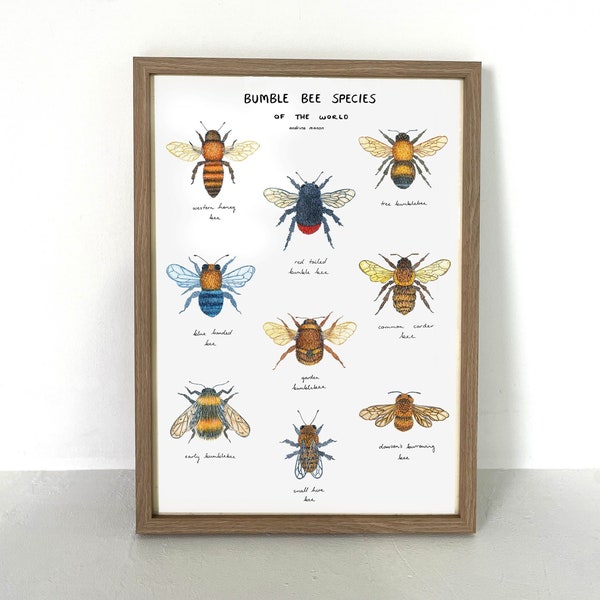 Scientific Bee Print - Etsy