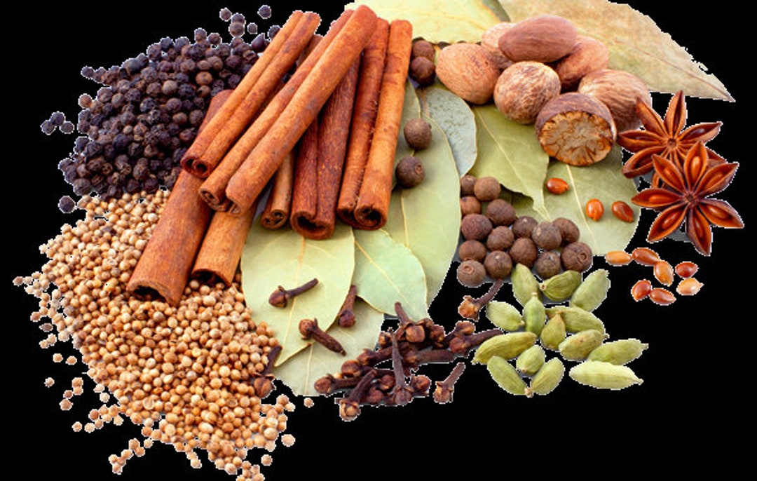 Garam Masala Seasoning Pure and Natural Powder - Etsy