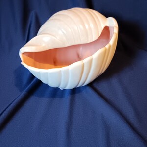 Poole Pottery, Poole Large Sea Shell, Conch Shell, Poole Twin Tone ...
