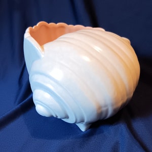 Poole Pottery, Poole Large Sea Shell, Conch Shell, Poole Twin Tone ...