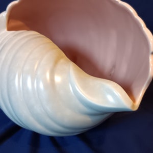 Poole Pottery, Poole Large Sea Shell, Conch Shell, Poole Twin Tone ...