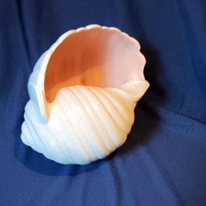 Poole Pottery, Poole Large Sea Shell, Conch Shell, Poole Twin Tone ...