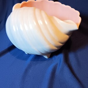 Poole Pottery, Poole Large Sea Shell, Conch Shell, Poole Twin Tone ...