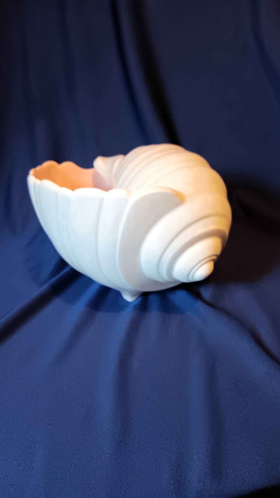Poole Pottery, Poole Large Sea Shell, Conch Shell, Poole Twin Tone, Poole C97, Home Decor ...