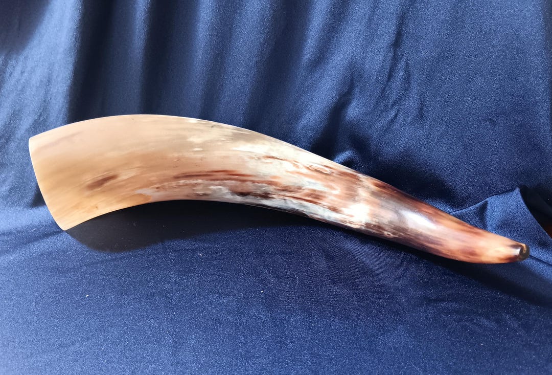 Bovine Horn, Cow Horn, Hollow Horn, Viking Horn, Horn Cup, Larp Prop ...