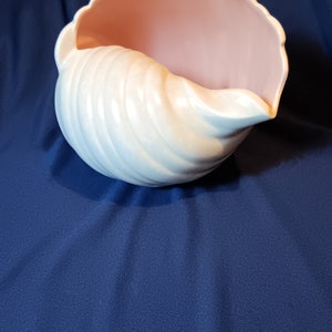 Poole Pottery, Poole Large Sea Shell, Conch Shell, Poole Twin Tone ...