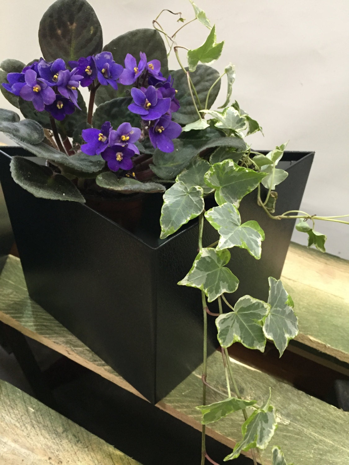 Small Triangle Handmade Metal Planter, Leather Grain Metal Finish ...