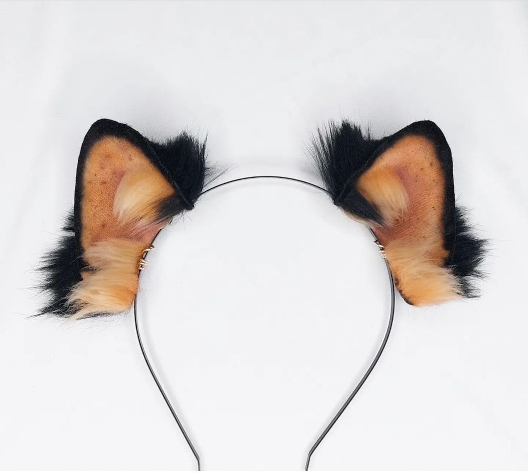 Black and Tan Blonde Shiba Pup Fur Ears - Etsy