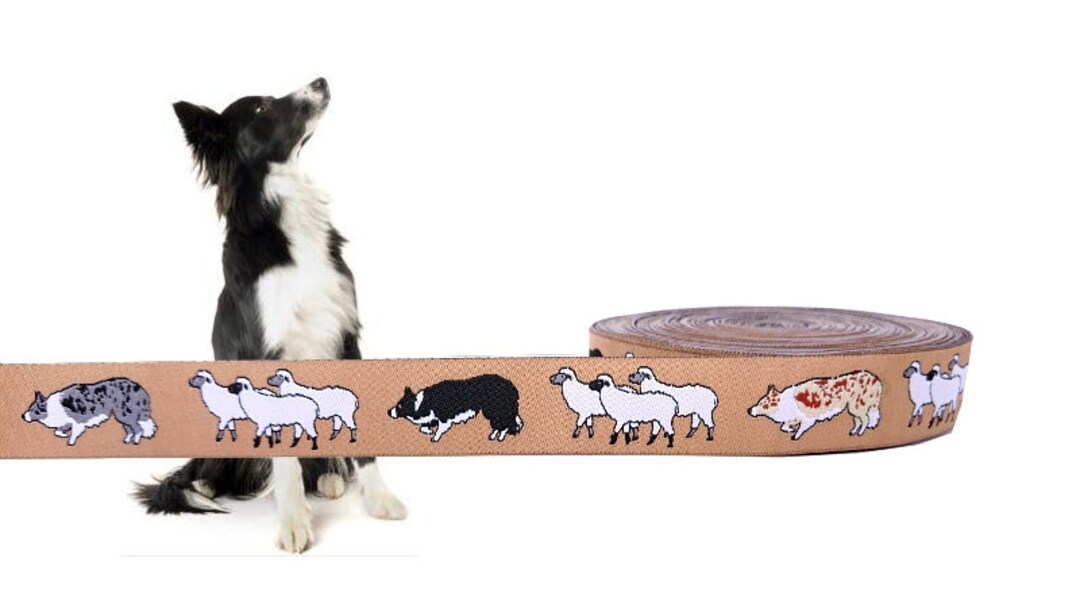 Dog Ribbon Border Collie Herding Sheep Woven Dog Ribbon 20mm - Etsy