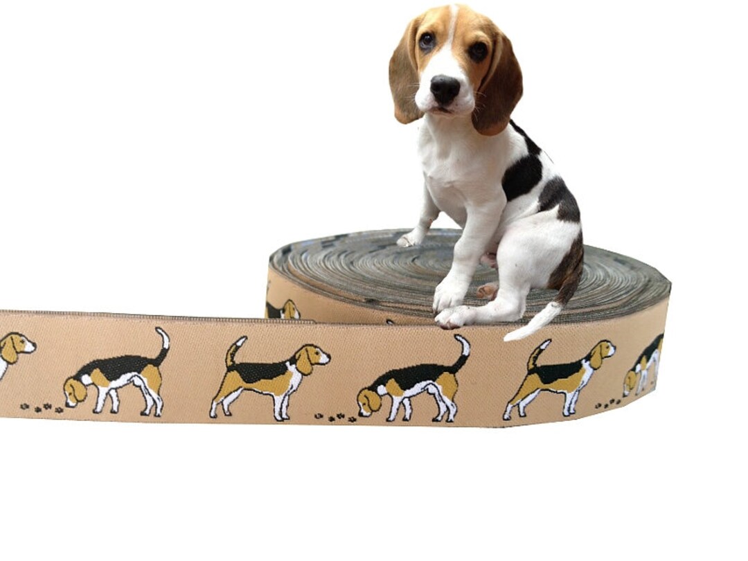 Dog Ribbon beagle Woven Jacquard Ribbon, 20mm, Beige, 1 Metre - Etsy