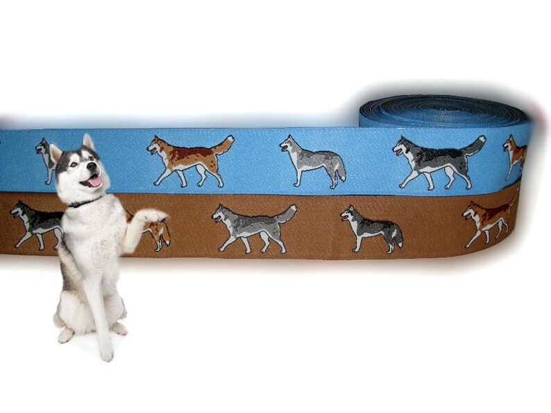 1m husky Woven Dog Ribbon 23mm Wide Blue - Etsy Singapore