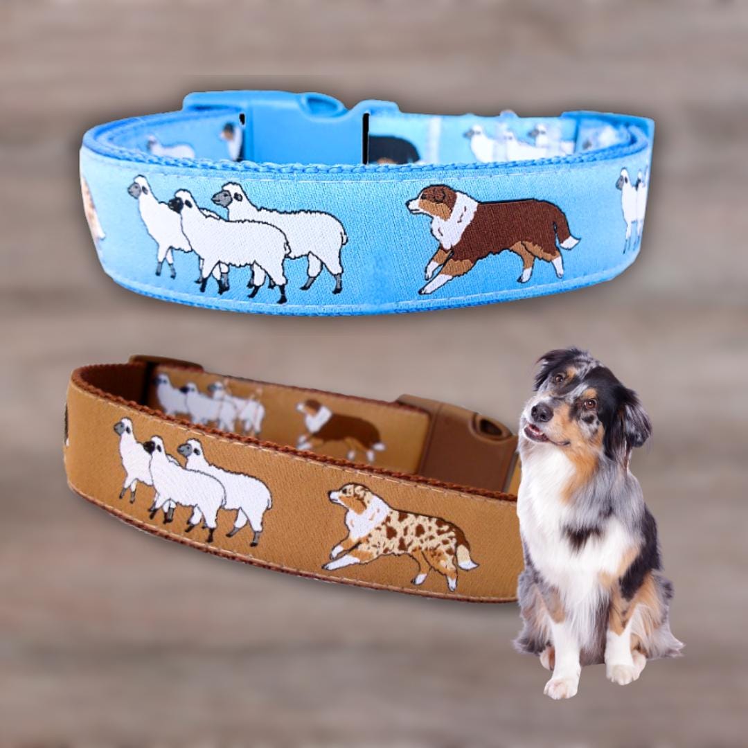 Australian Shepherd Dog Collar, Adjustable, 6 Colors, 25mm Wide - Etsy