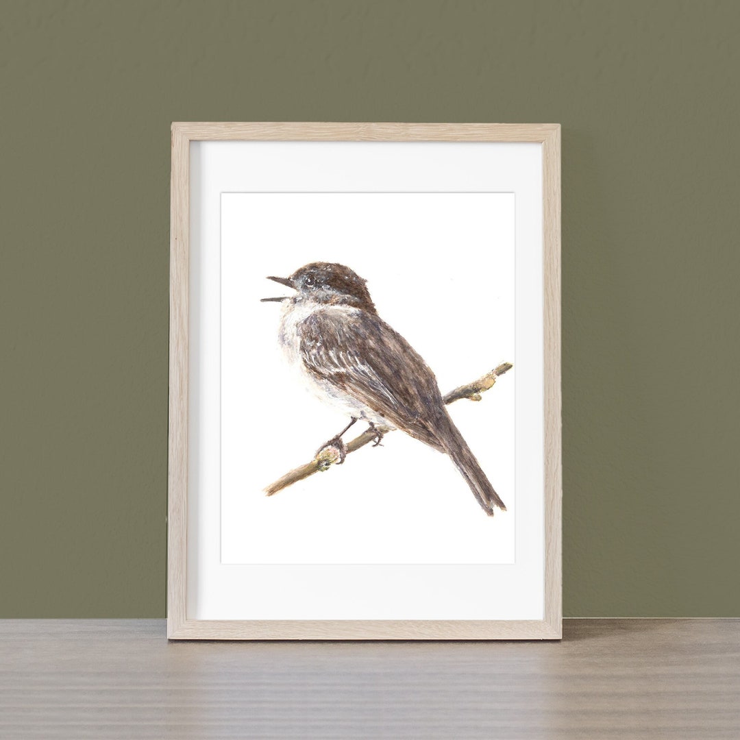Eastern Phoebe Singing Atop a Tree Original Watercolor Painting by ...