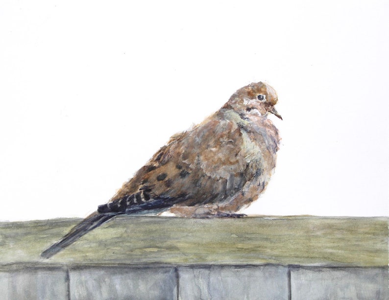 Mourning Dove Watercolor Fine Art Print from an Original | Etsy