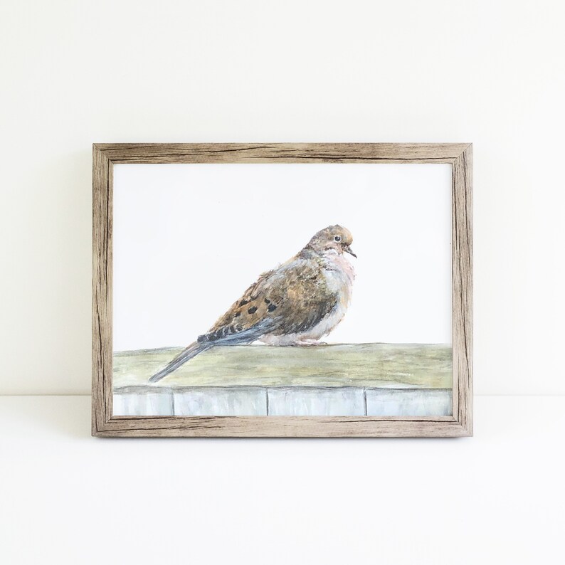 Mourning Dove Watercolor Fine Art Print from an Original | Etsy