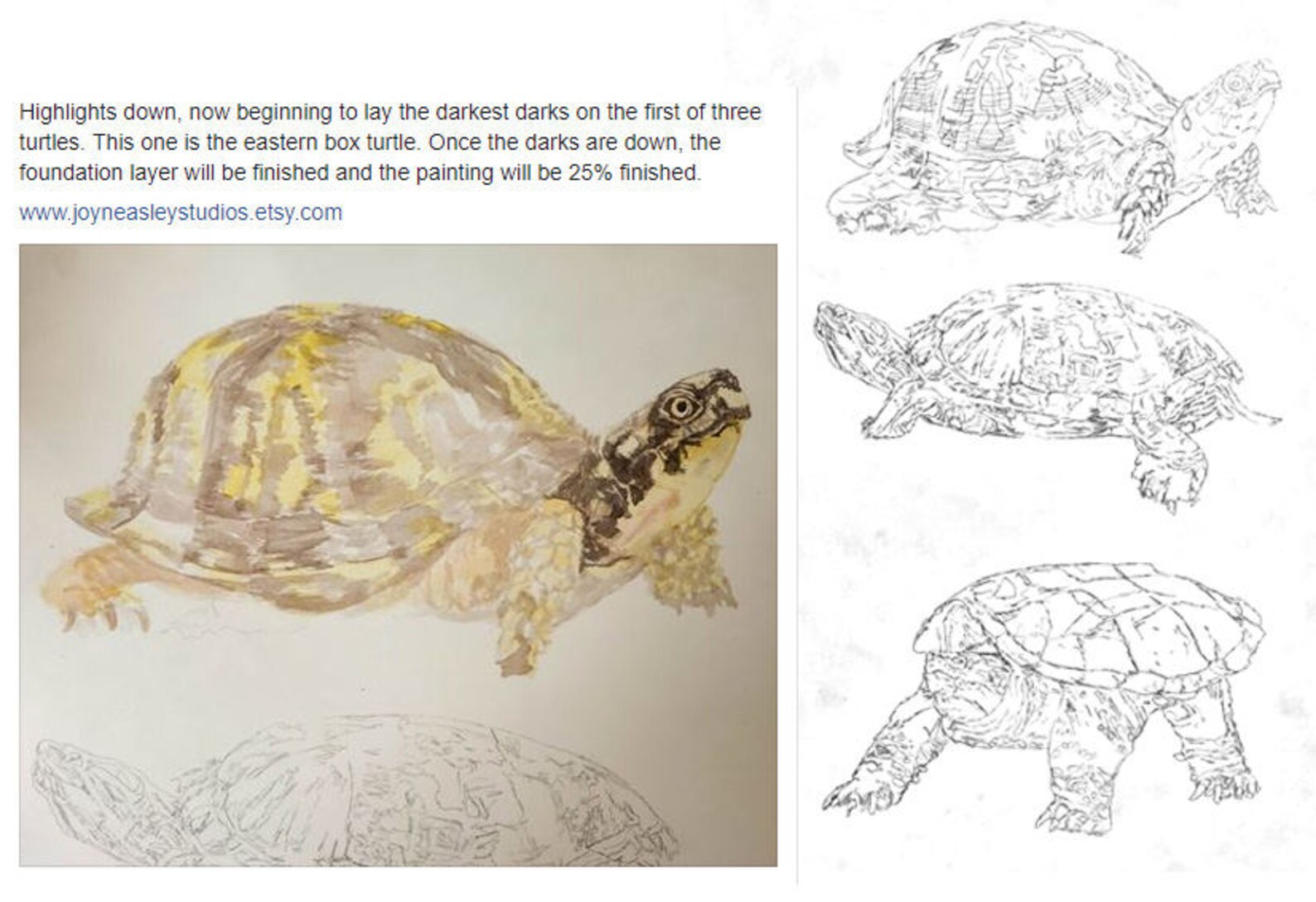 Snapping Turtle Fine Art Print from an original watercolor | Etsy