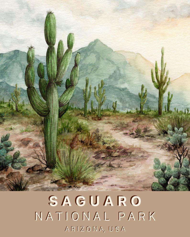 Saguaro National Park Poster 8x10” - Etsy