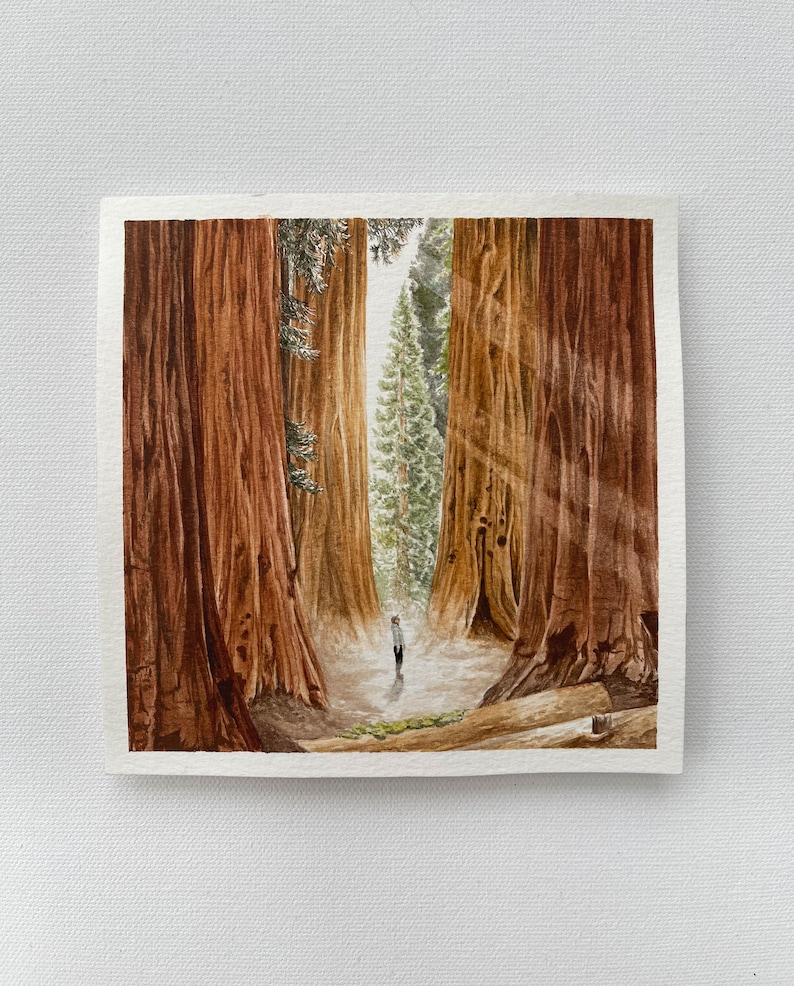 Sequoia National Park Watercolor Print - Etsy