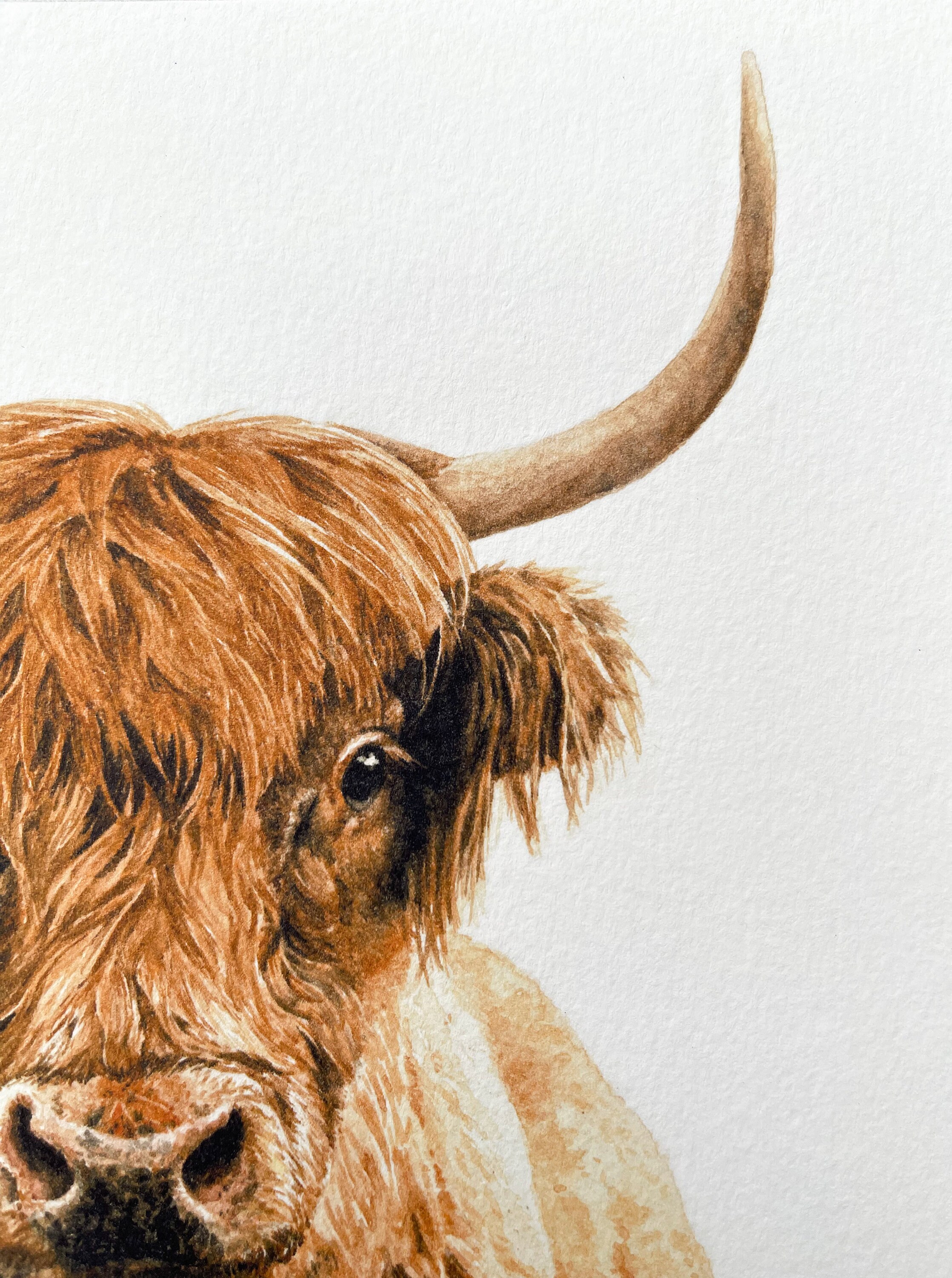 Yak Watercolor Painting Art Print - Etsy