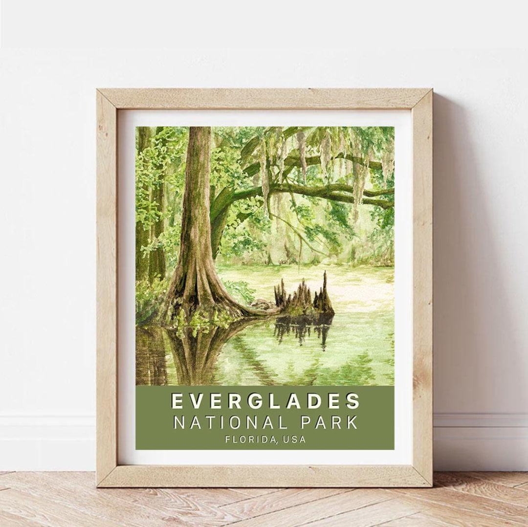 Everglades National Park Poster 8x10” - Etsy