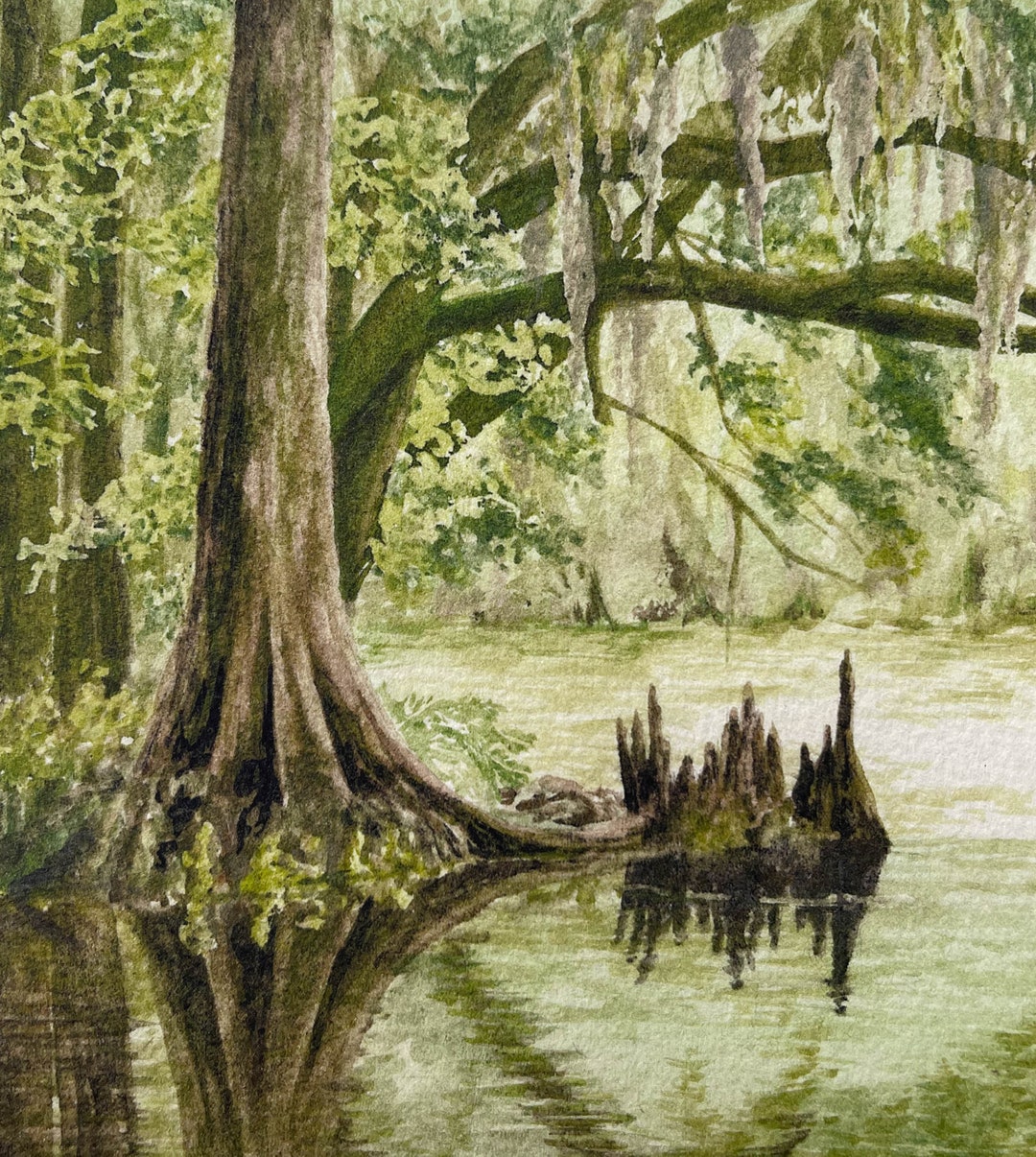 Everglades National Park Landscape Watercolor Painting Art Print - Etsy