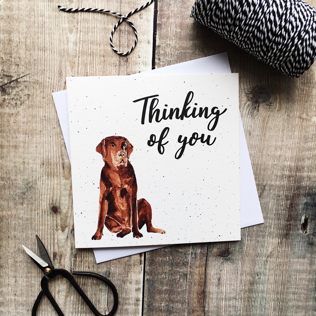 Thinking of You Card - Labrador Card - Dog Card - Chocolate Labrador - Etsy