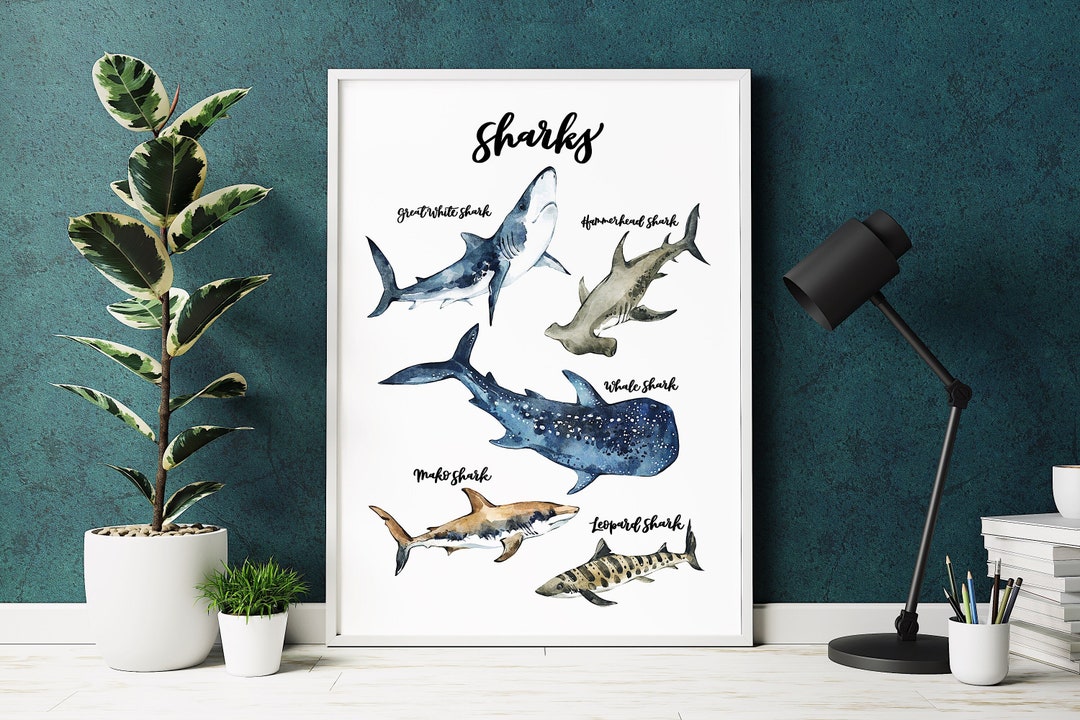 Sharks Watercolour and Calligraphy Print - Ocean - Nursery Art ...