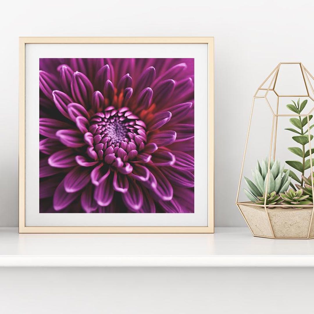 Flower Photography Prints Digital Floral Picture Flower Poster ...