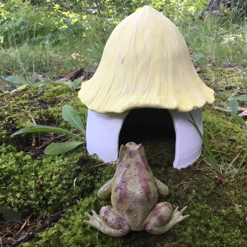Toad House - Etsy